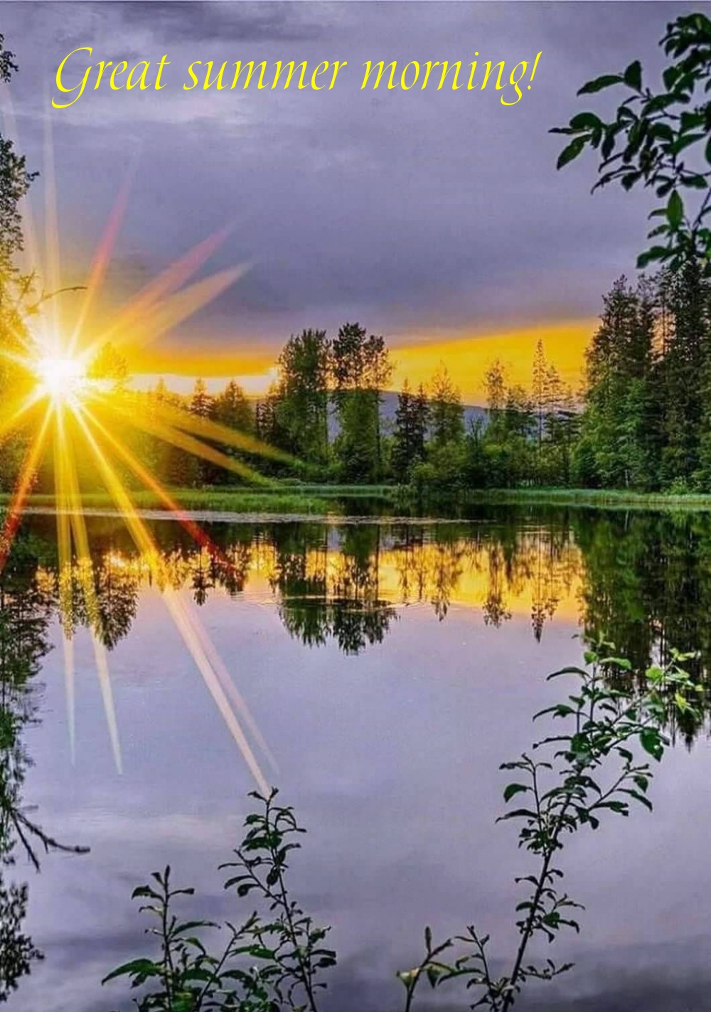 Beautiful pictures "Good summer morning!" (134)