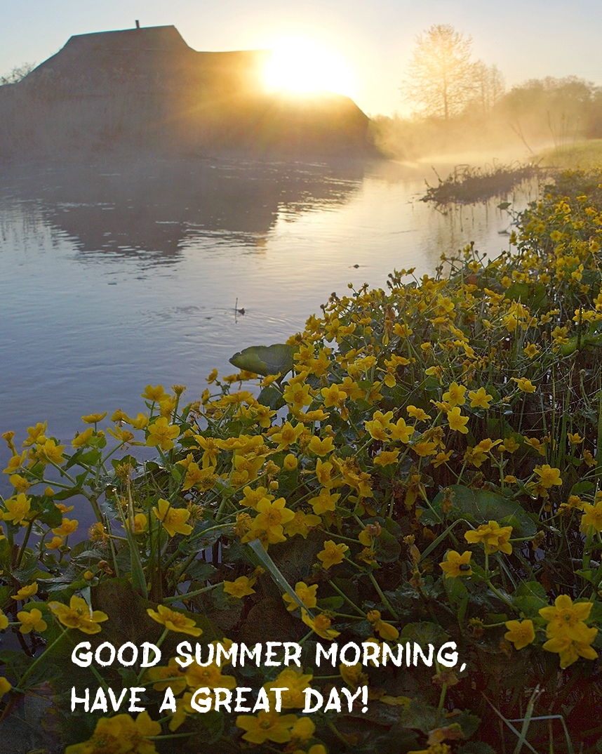 Beautiful pictures "Good summer morning!" (134)