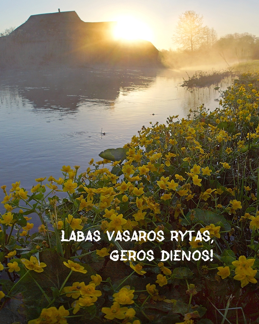 Gražios nuotraukos "Labas vasaros rytas!" (80)