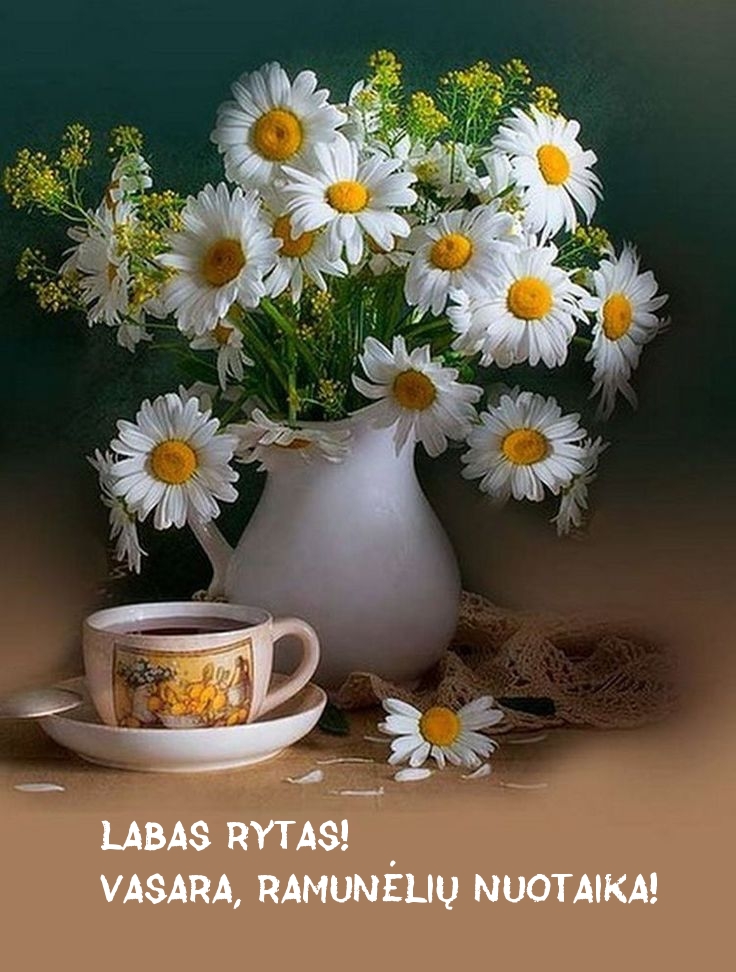 Gražios nuotraukos "Labas vasaros rytas!" (80)