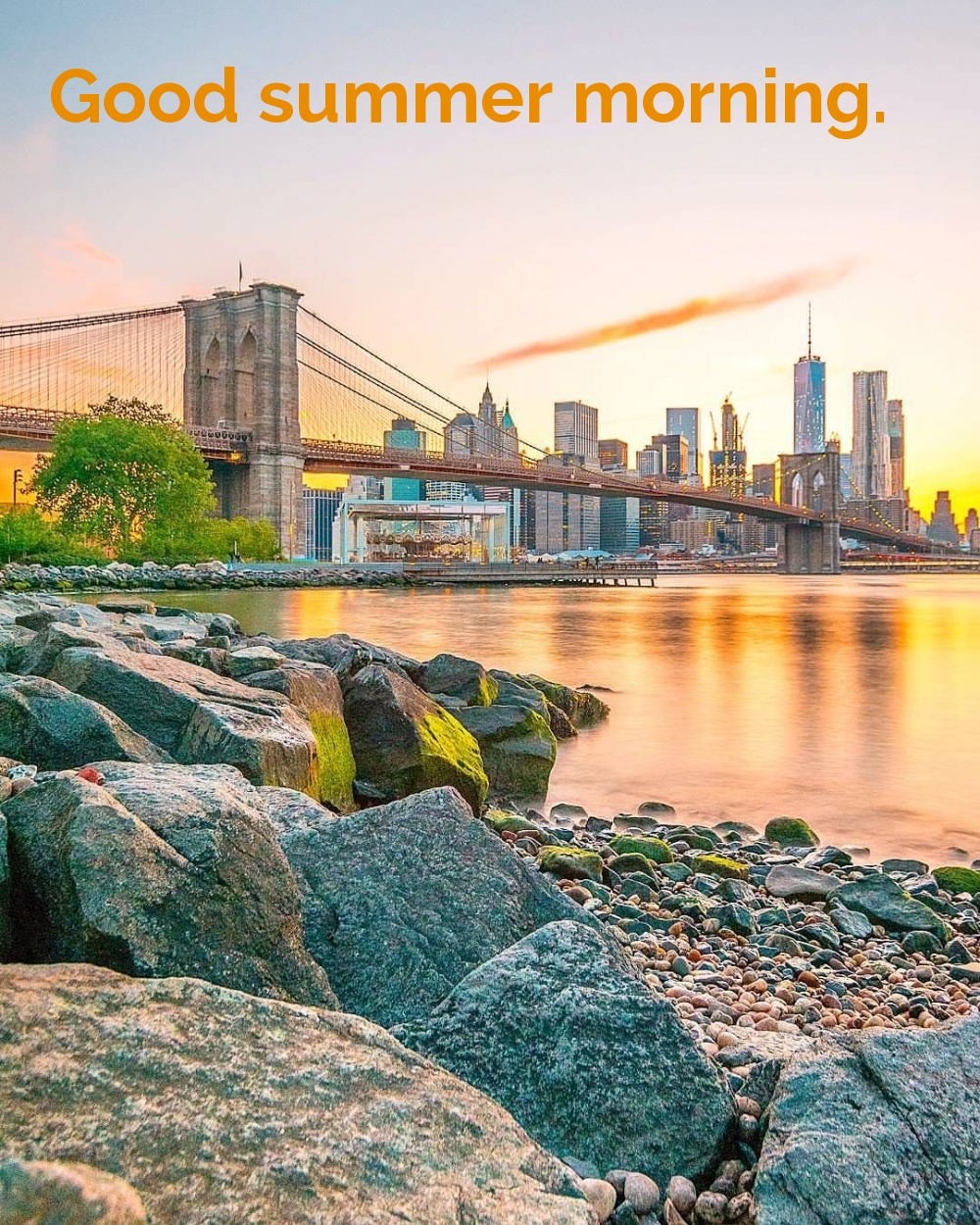 Beautiful pictures "Good summer morning!" (134)